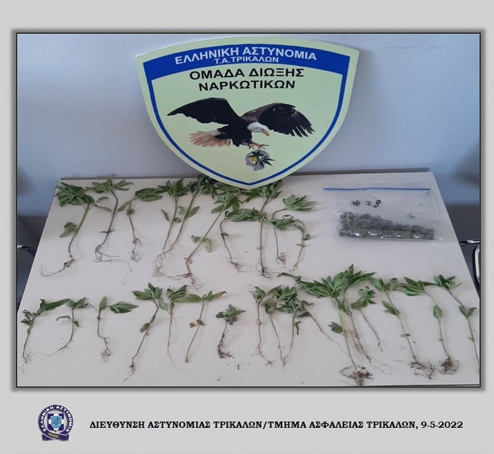 Σύλληψη για καλλιέργεια και κατοχή κάνναβης σε κοινότητα του Δήμου ...