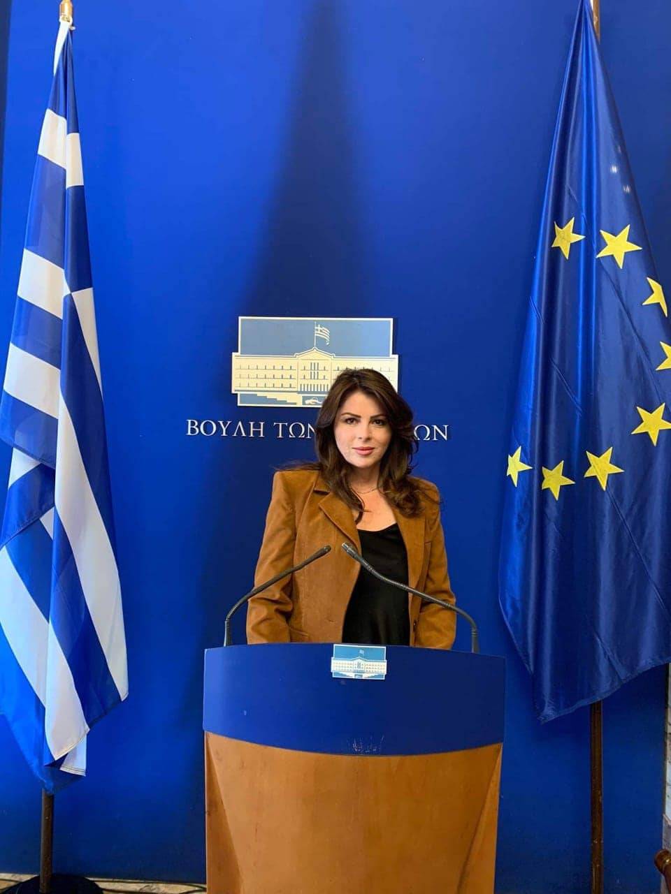 Κ. Παπακώστα στη Βουλή για το Εθνικό Σχέδιο Δράσης για την Προστασία ...