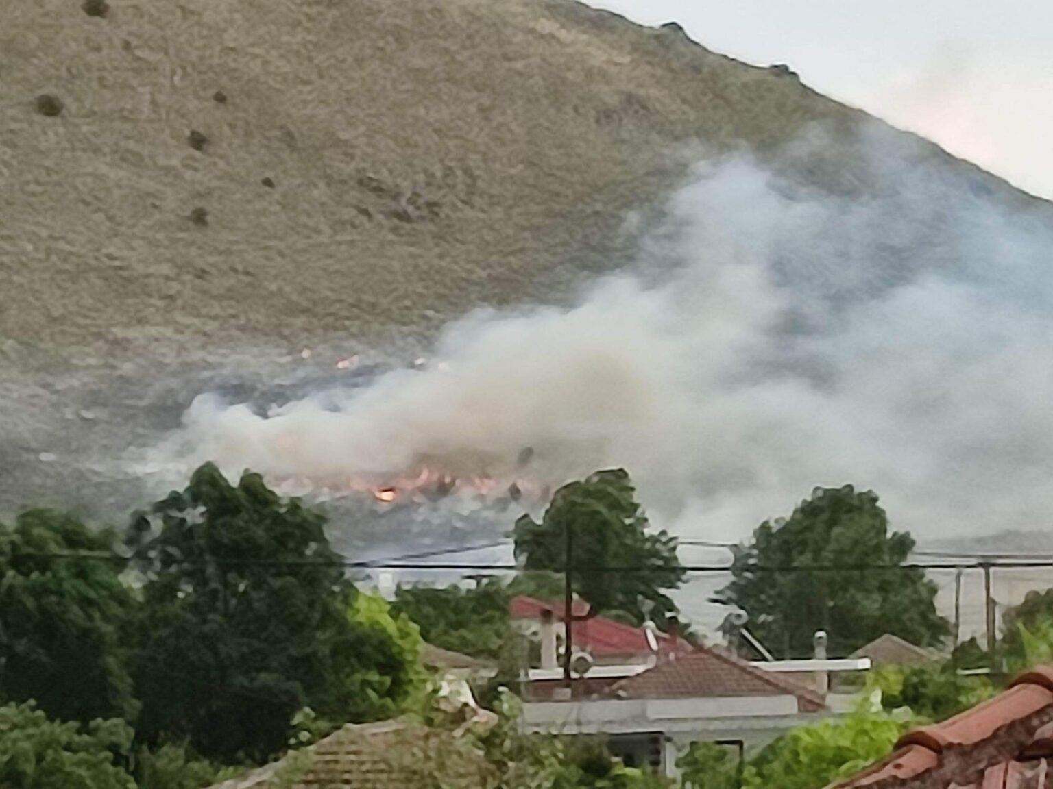 Κρήνη LIVE! - Ηλεκτρονική Εφημερίδα στο Δήμο Φαρκαδόνας