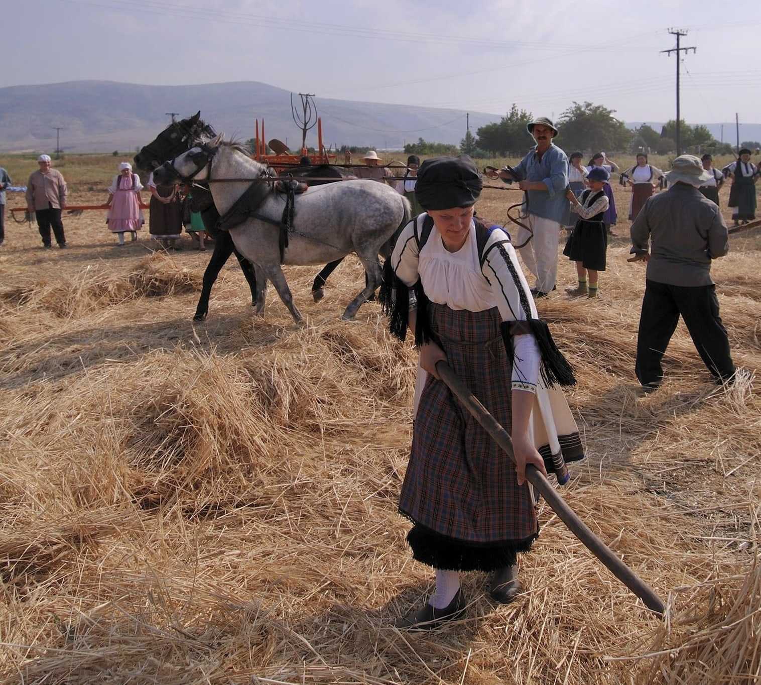 Αφιέρωμα στην Αγρότισσα του Θεσσαλικού Κάμπου - Ένωση Καραγκούνηδων ...