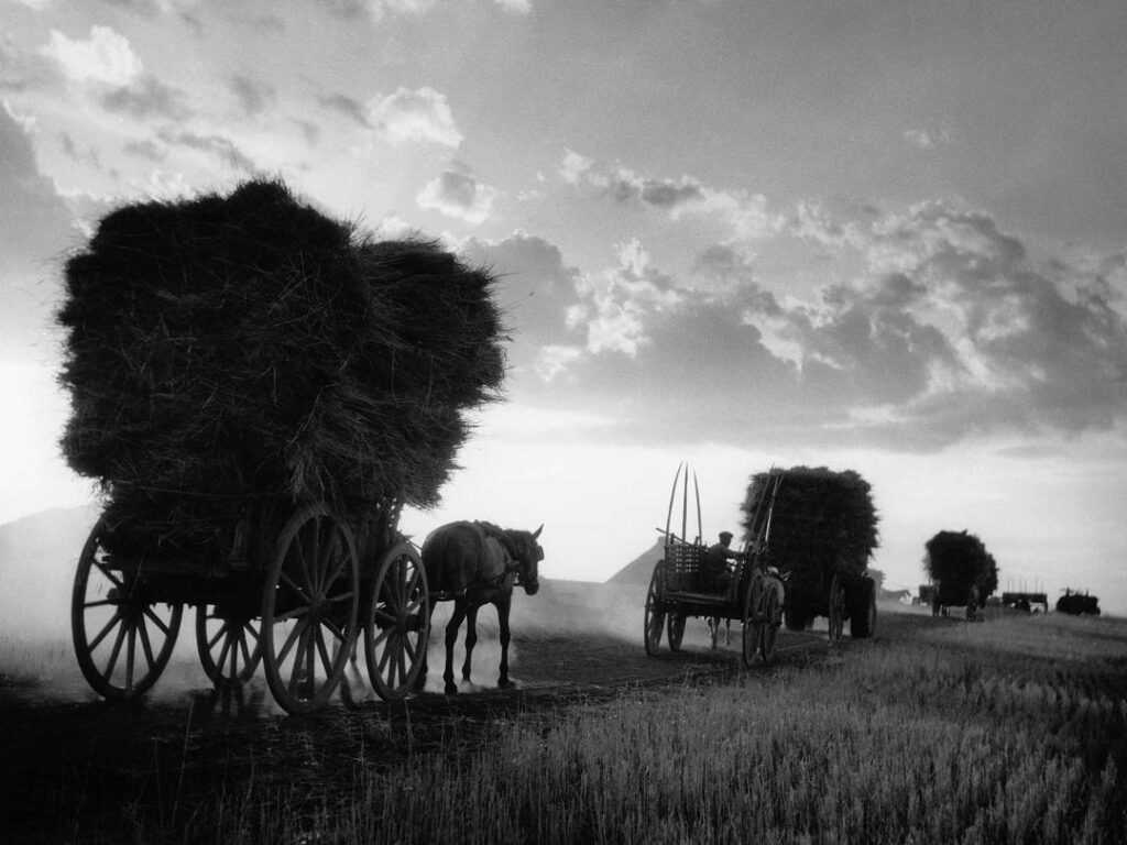 Οι παλιές ονομασίες των χωριών του Νομού Τρικάλων – Ο χάρτης του χθες